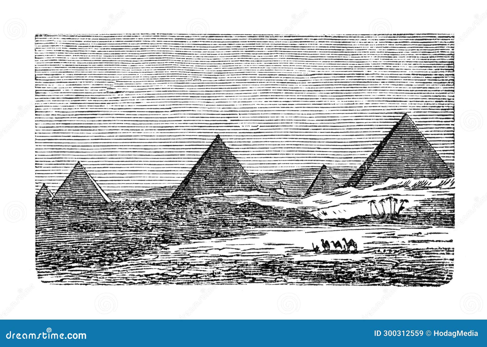 The Great Pyramid Complex, Vintage Engraved Art Line Drawing Stock ...