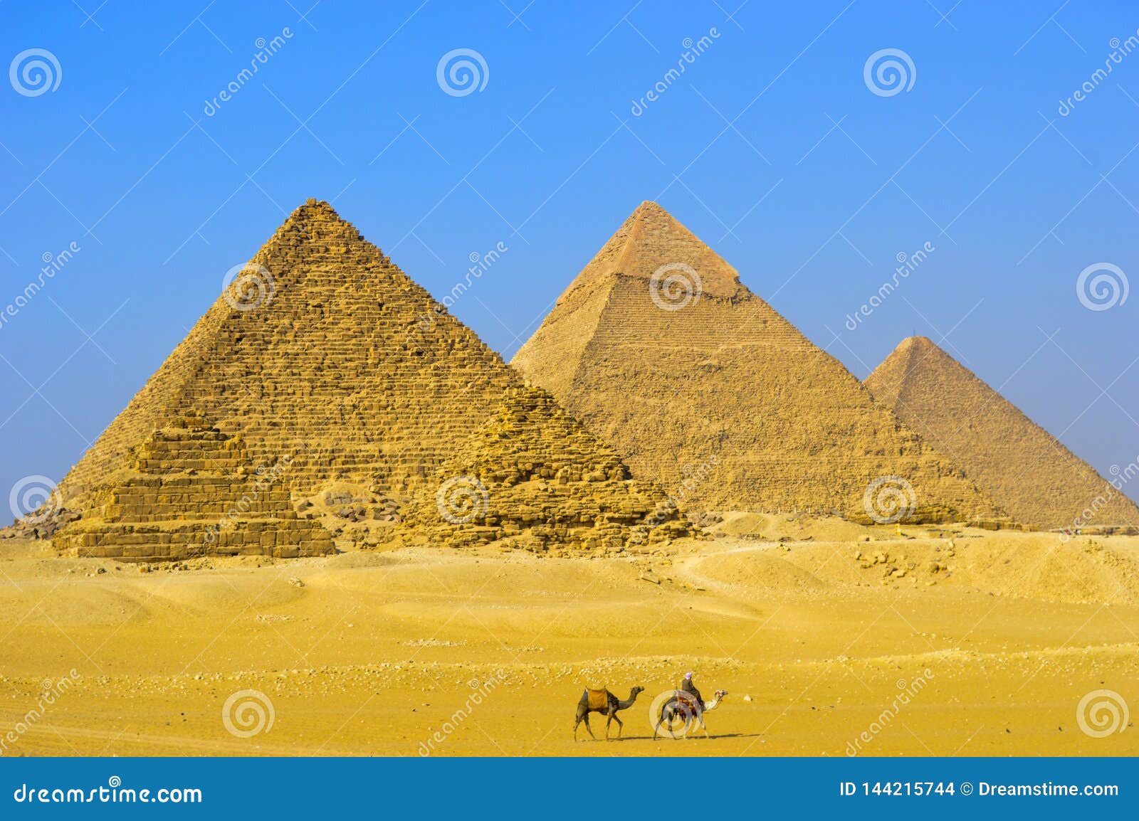 The Great Pyramid of Giza in Egypt Cairo with Sphinx and Camel Stock ...