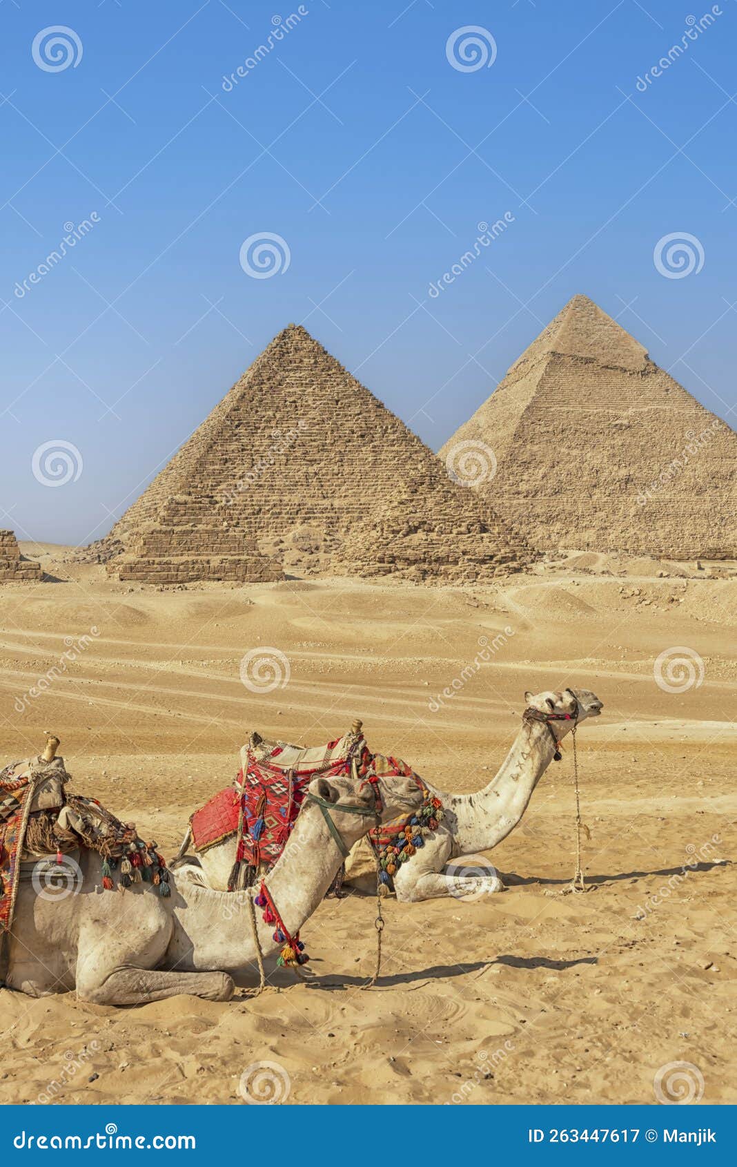 The Pyramids of Giza in Egypt Stock Image - Image of city, civilization ...