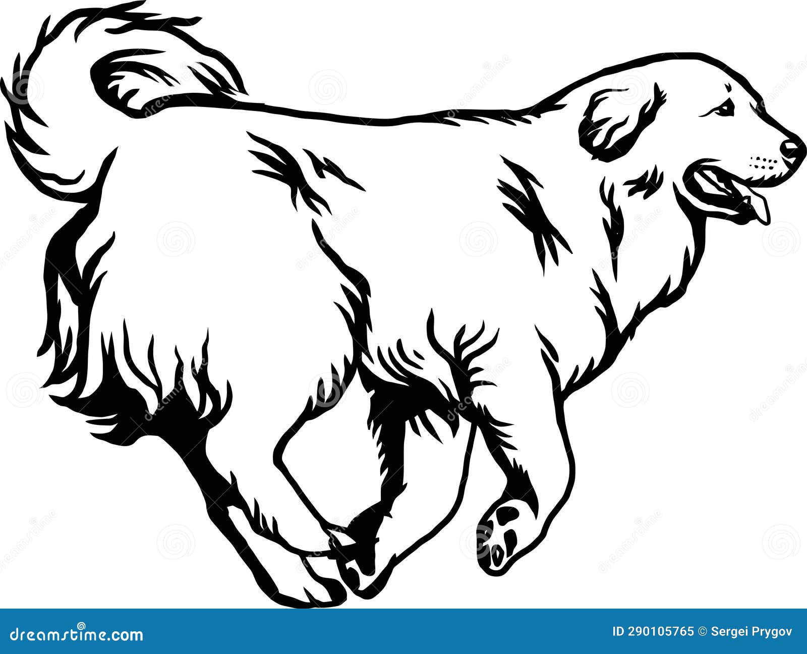 Great Pyrenees - Dog Breed, Funny Dog Vector File, Detailed Vector ...