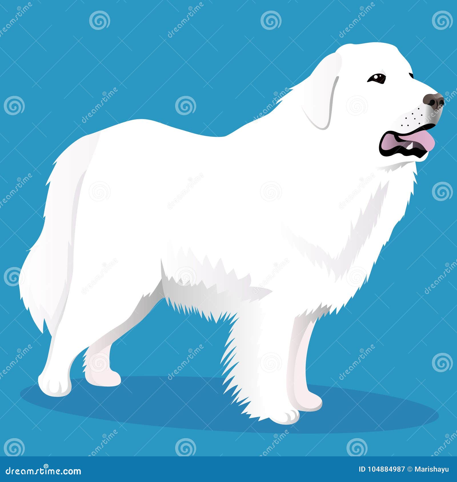 Great Pyrenees Dog - Vector Isolated Illustration On White Background ...