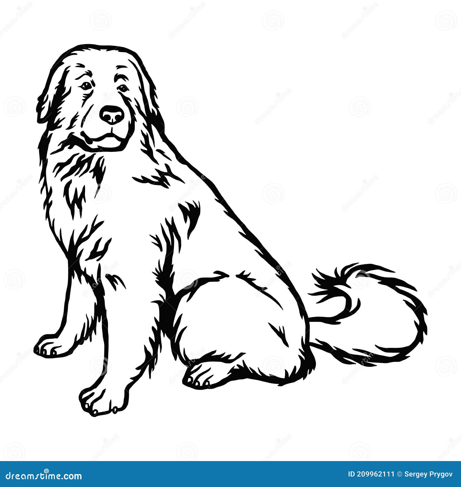 Great Pyrenees Dog Mascot Cartoon Vector | CartoonDealer.com #114114271