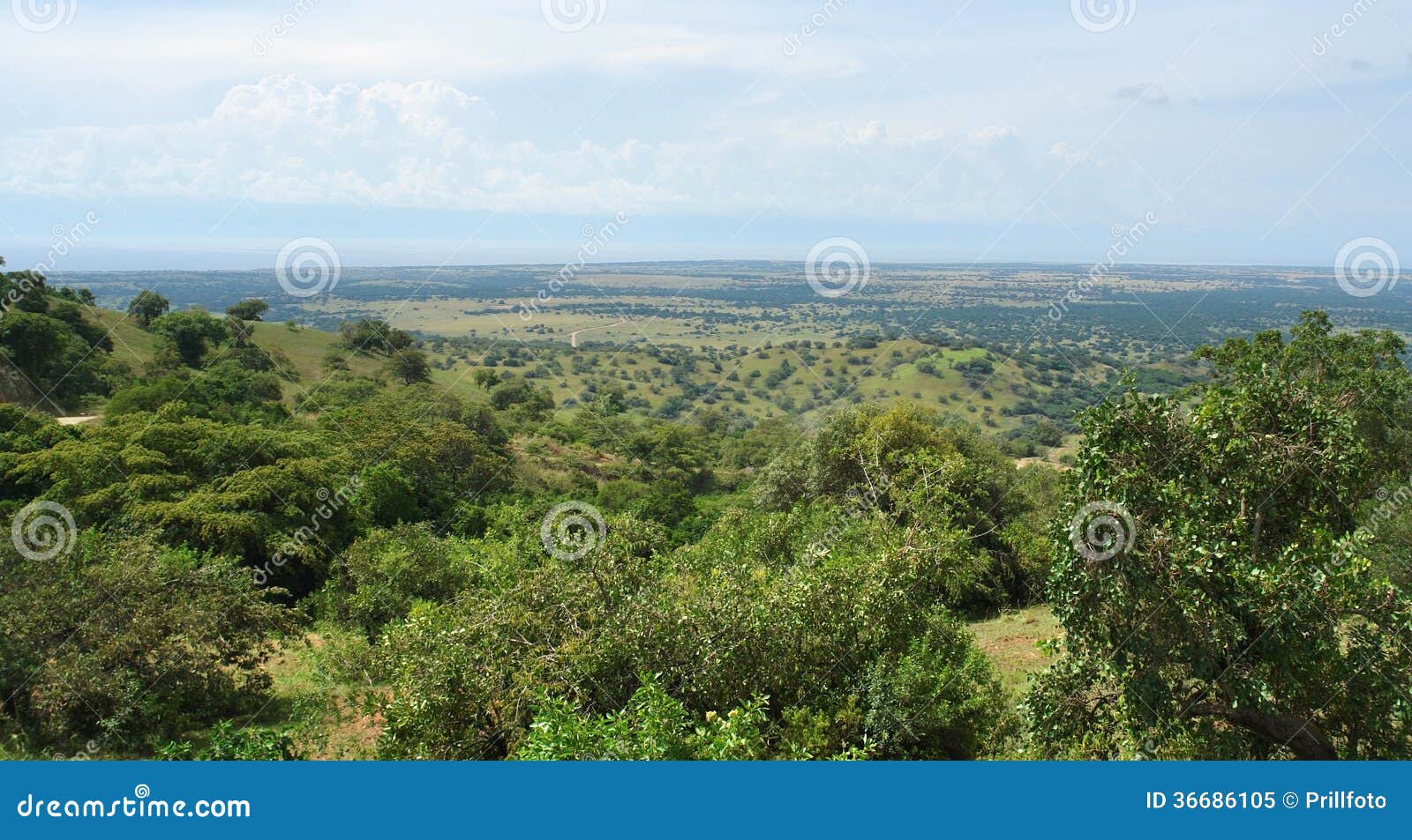 Great Rift Valley in Africa Stock Image - Image of scenery, phenomenon ...