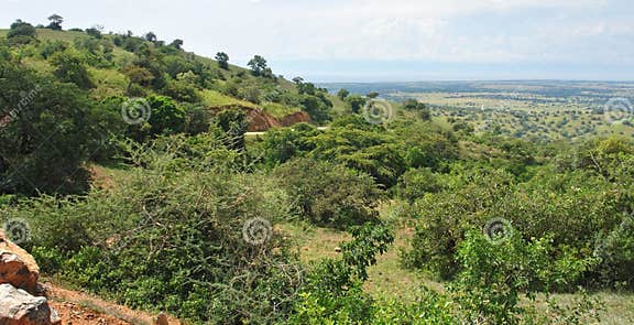 Great Rift Valley in Uganda Stock Image - Image of bush, conservation ...