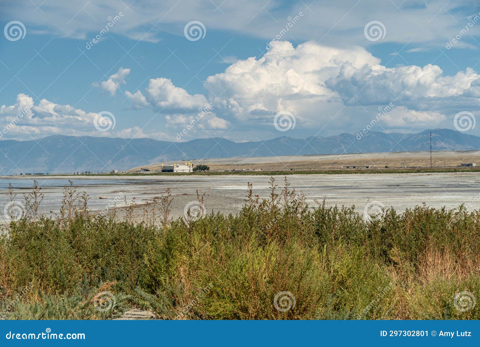 Great Salt Lake State Park View of Beach Stock Image - Image of calm ...