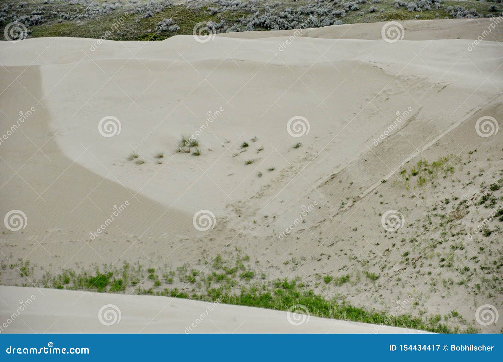 Great Sandhills in Saskatchewan Stock Image - Image of desert, rolling ...