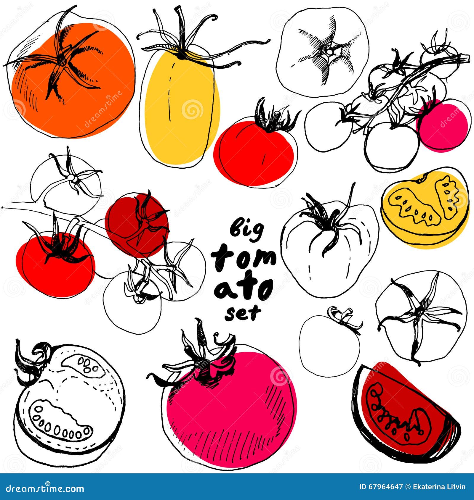 Great Set of Hand Drawn Tomatoes Isolated on White Background Stock ...