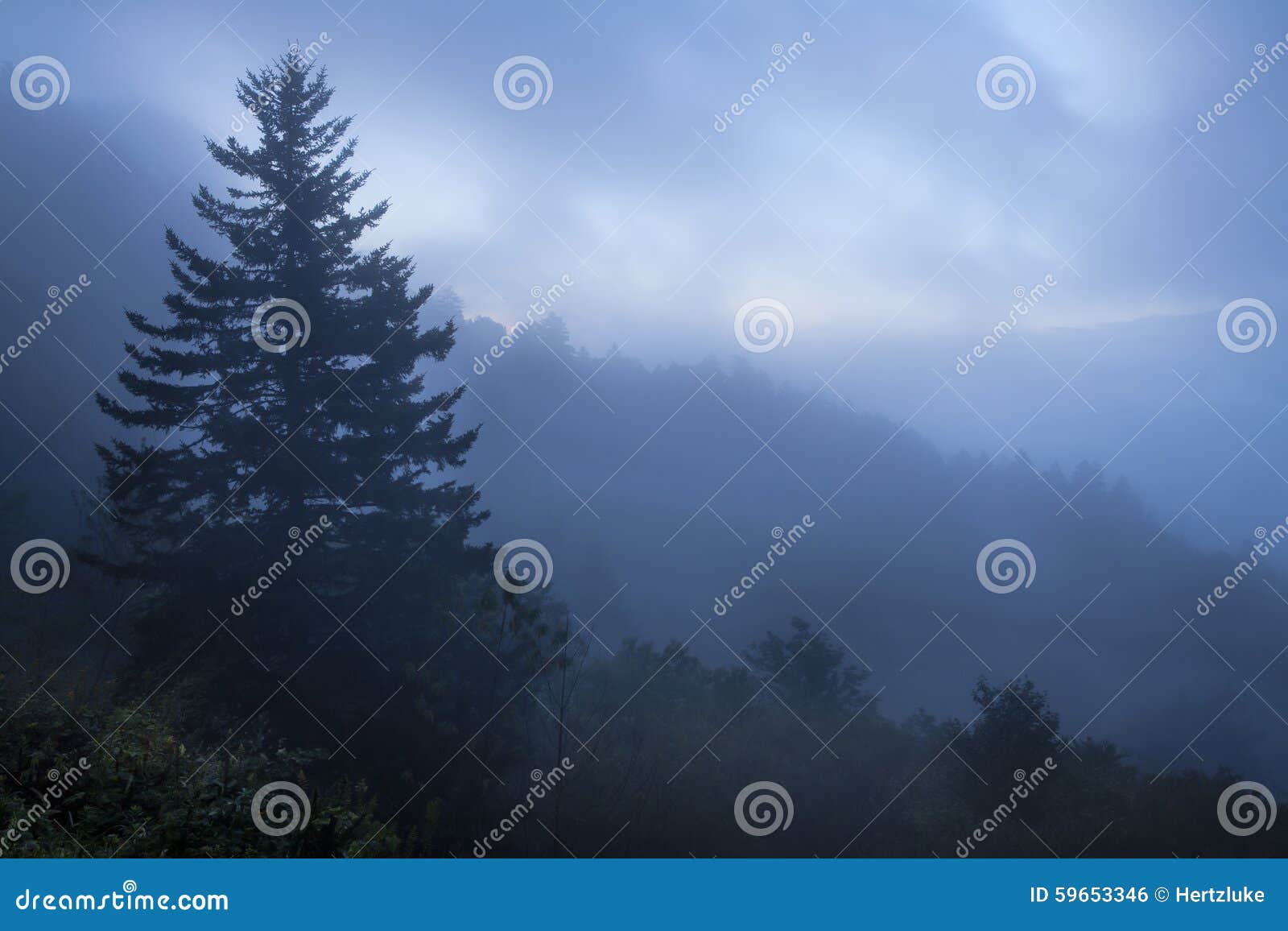 Great Smoky Mountains-Mist stock foto. Image of angstaanjagend - 59653346