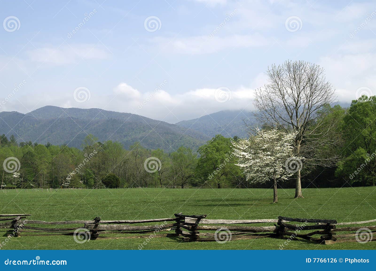 Great Smoky Mountains in Spring Stock Photo - Image of pastoral ...