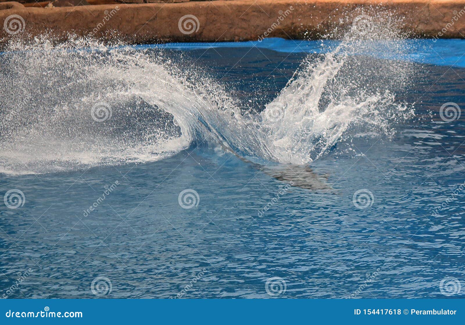 GREAT SPLASH MADE by PERFORMING DOLPHIN Stock Photo - Image of ...