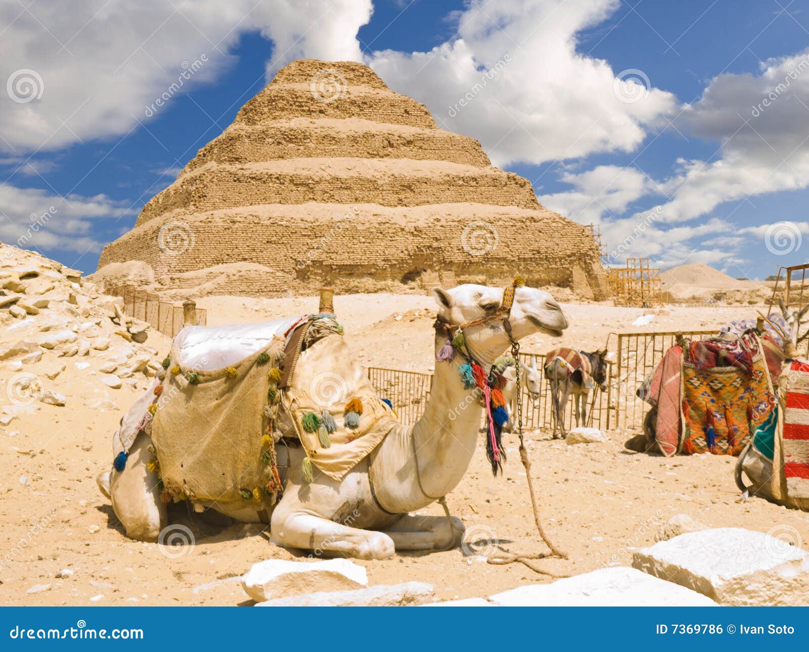 Great Step Pyramid of Djoser Stock Photo - Image of pyramids, saqqara ...