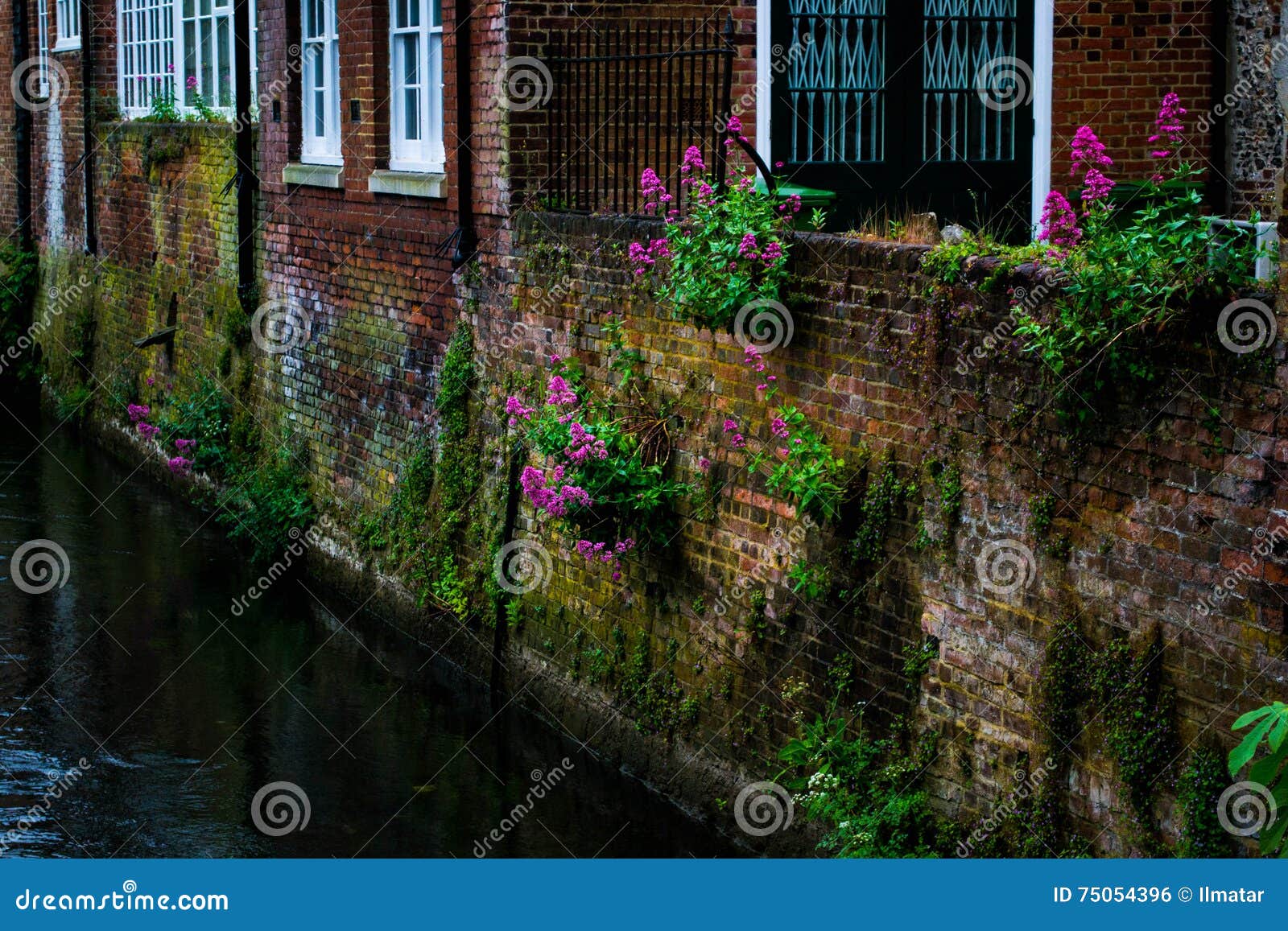 Great Stour at Canterbury stock photo. Image of beautiful - 75054396