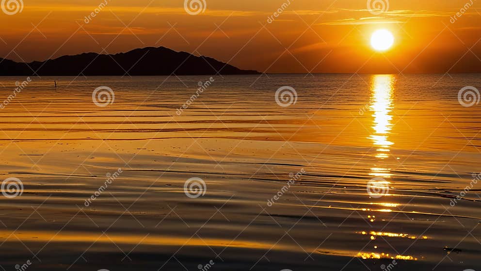 Great Sunset Horizon Over the Ocean Stock Illustration - Illustration ...