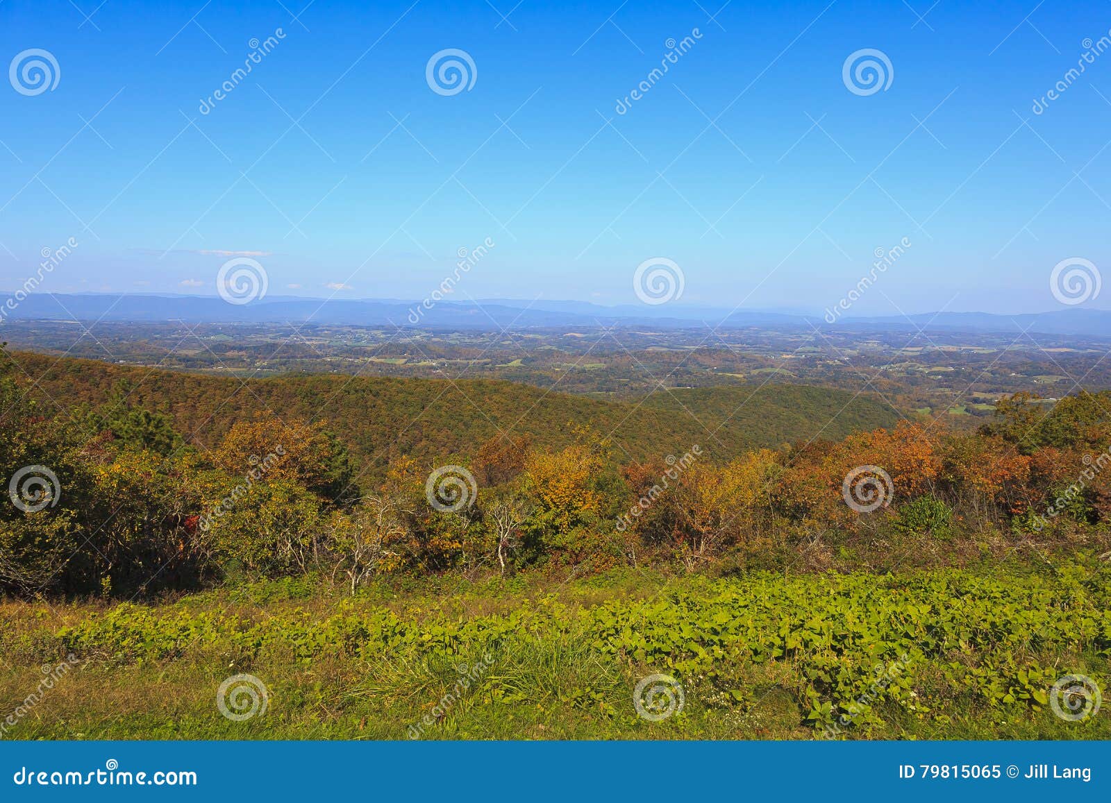 The Great Valley stock image. Image of scene, forest - 79815065