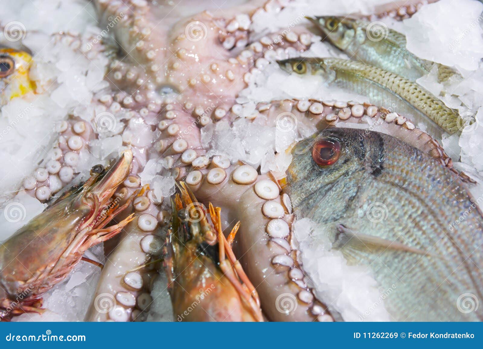 Great Variety of Fish and Seafood Stock Image - Image of prawns, scampi ...