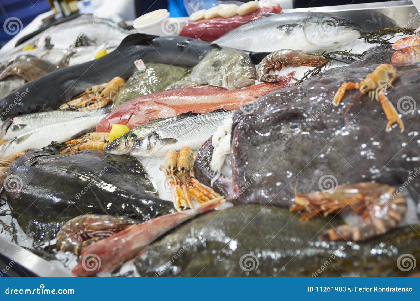 Great Variety of Fishes and Seafood Stock Image - Image of lobster ...