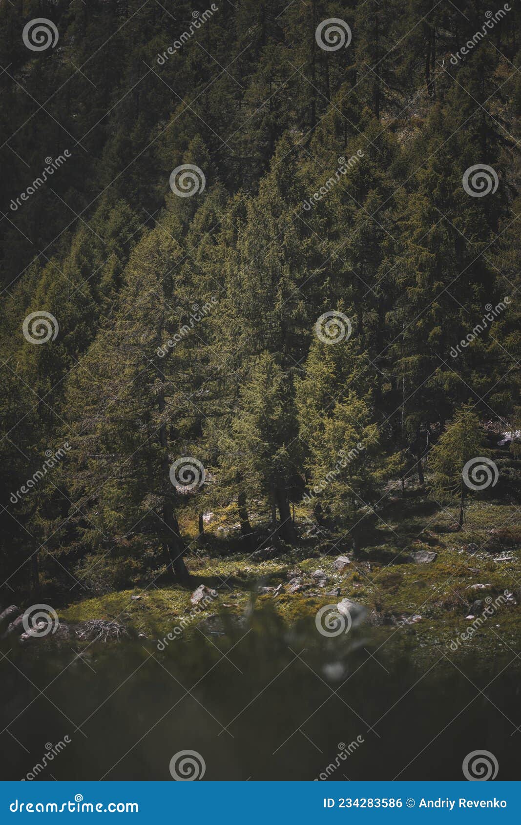 A Great View on an Italian Forest Stock Photo - Image of hill ...