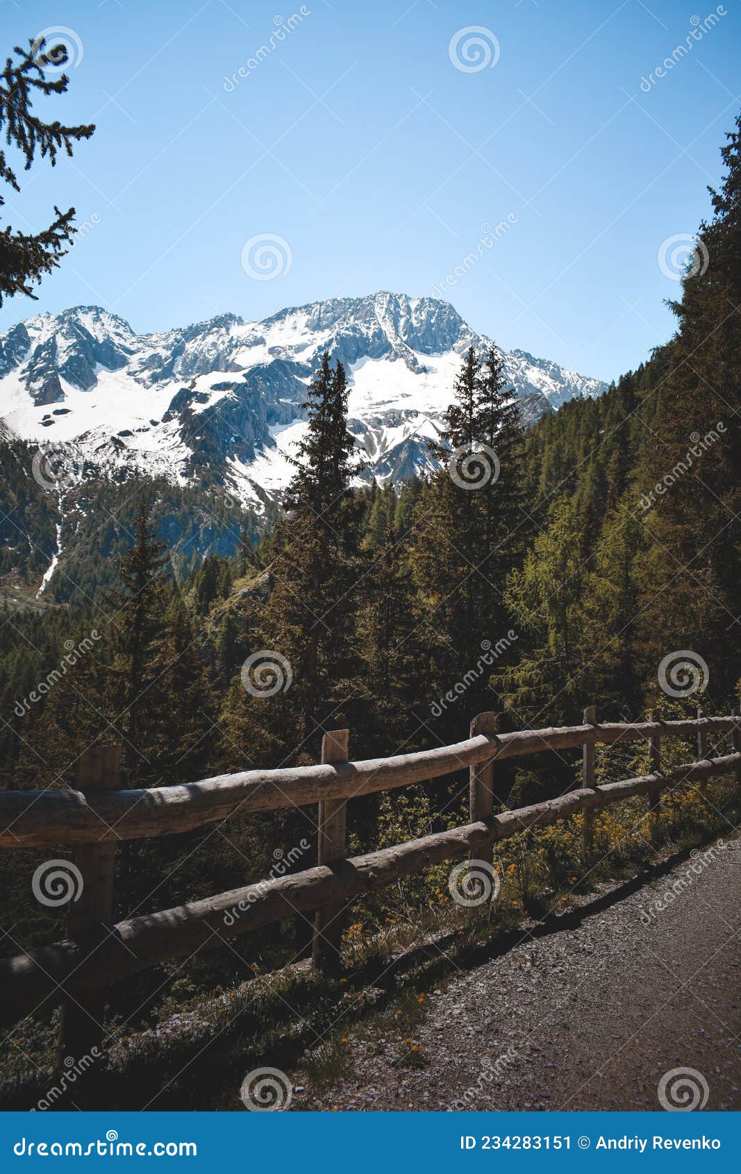 A Great View on an Italian Forest. Stock Image - Image of hill ...