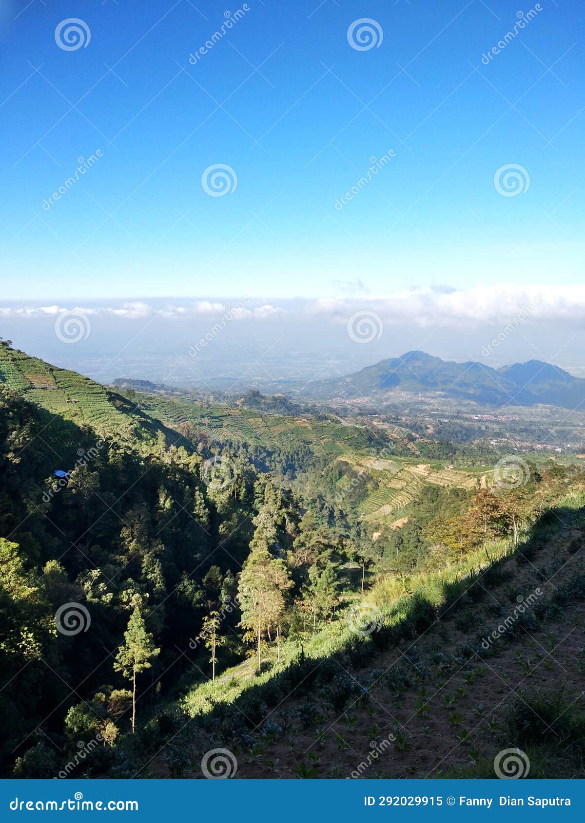 A Great View of Nature from the Mountain Stock Image - Image of forest ...