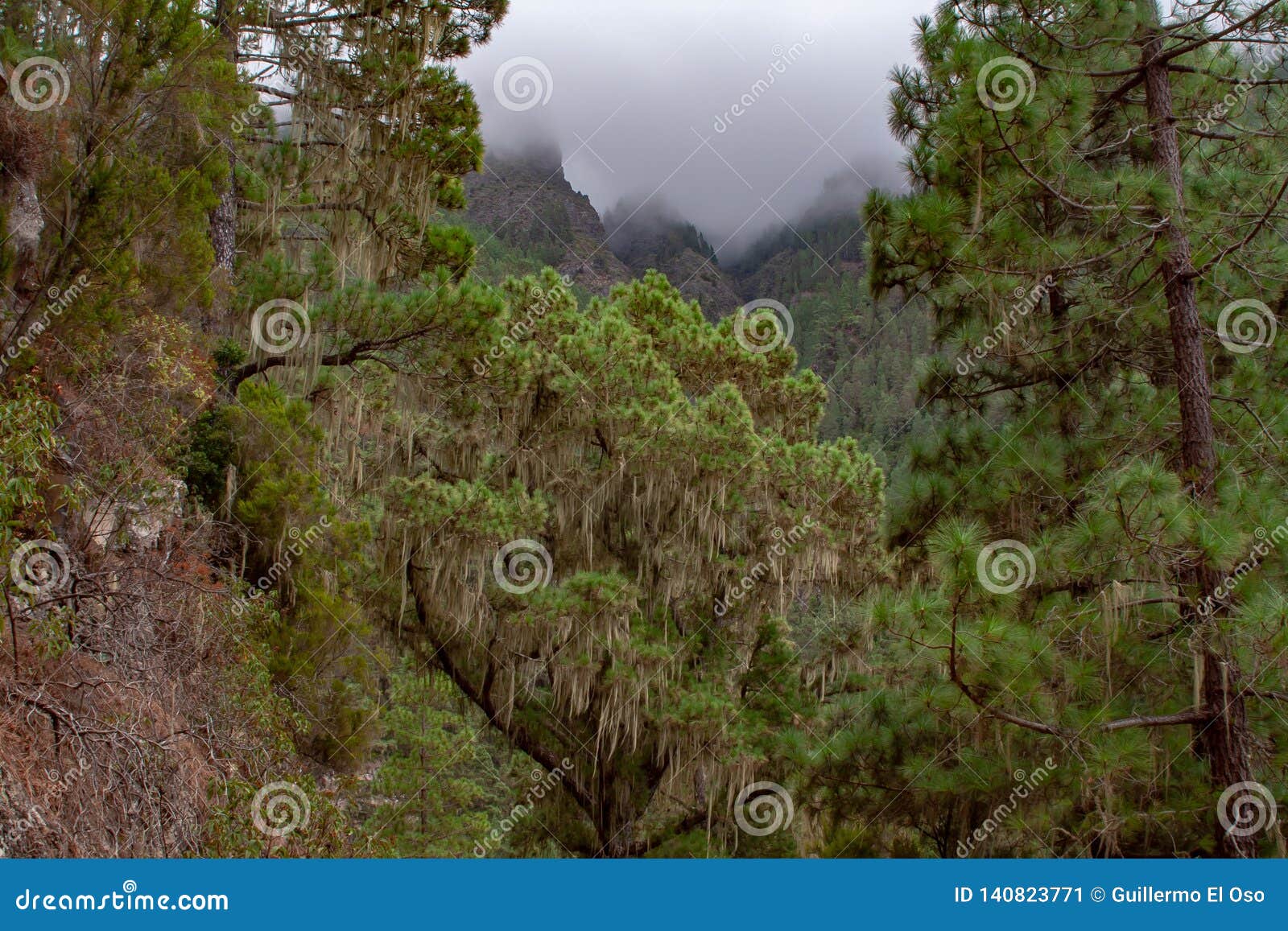 Great View Over a Forest on Rock Formations Stock Image - Image of ...