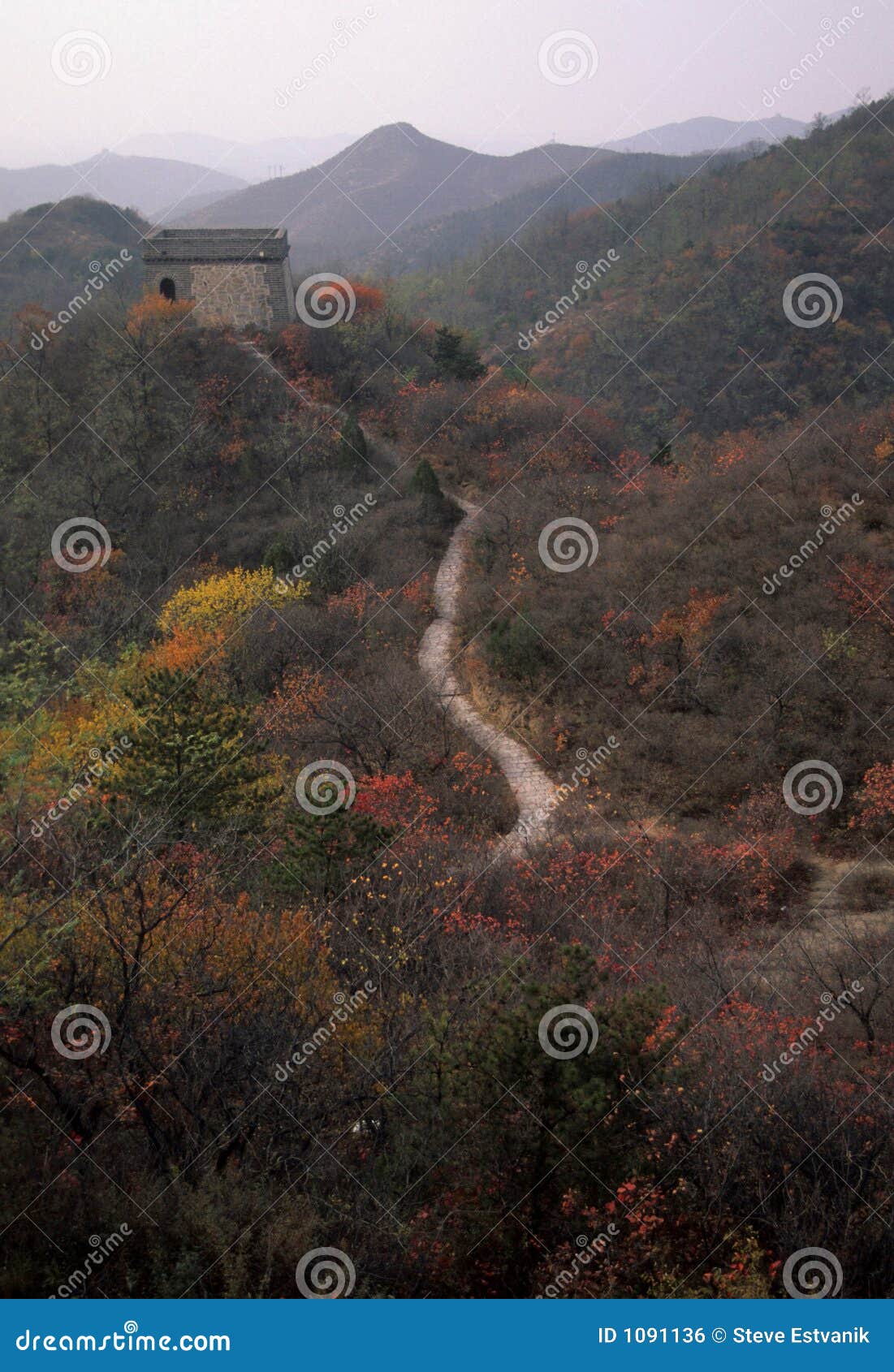 From the Great Wall of China, Fall Colors Stock Photo - Image of trees ...