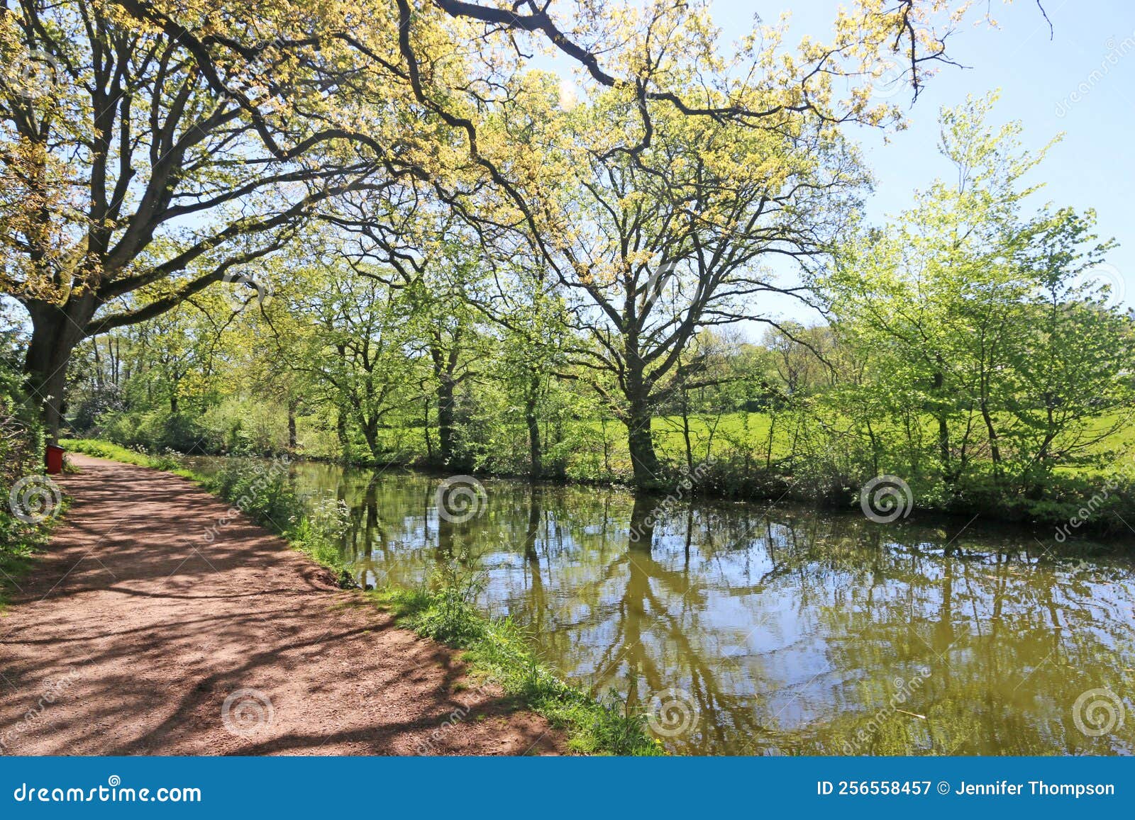 Great Western Canal in Tiverton, Devon Stock Image - Image of green ...