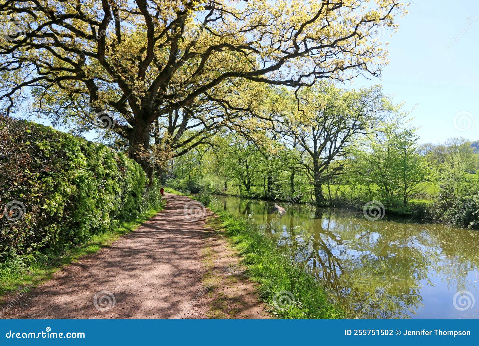 Great Western Canal in Tiverton, Devon Stock Photo - Image of devon, calm: 255751502