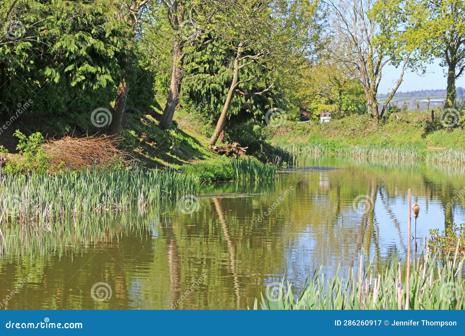 Great Western Canal at Tiverton , Devon Stock Image - Image of ...
