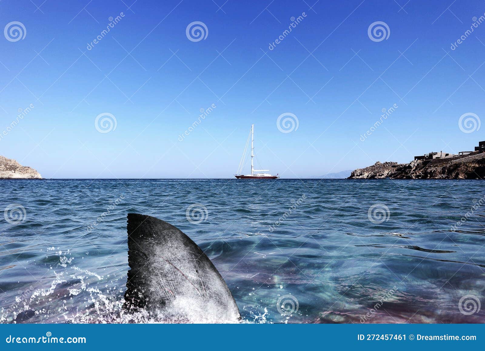 Great White Shark Attack, Fin and Blood Stock Image - Image of swim ...