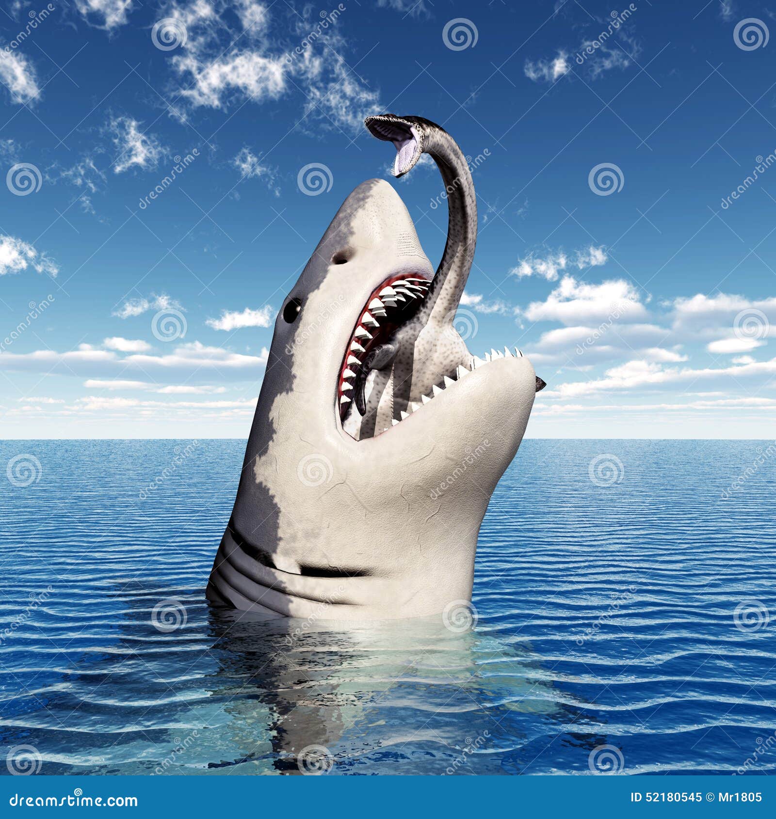 Pictures Of Great White Sharks Eating