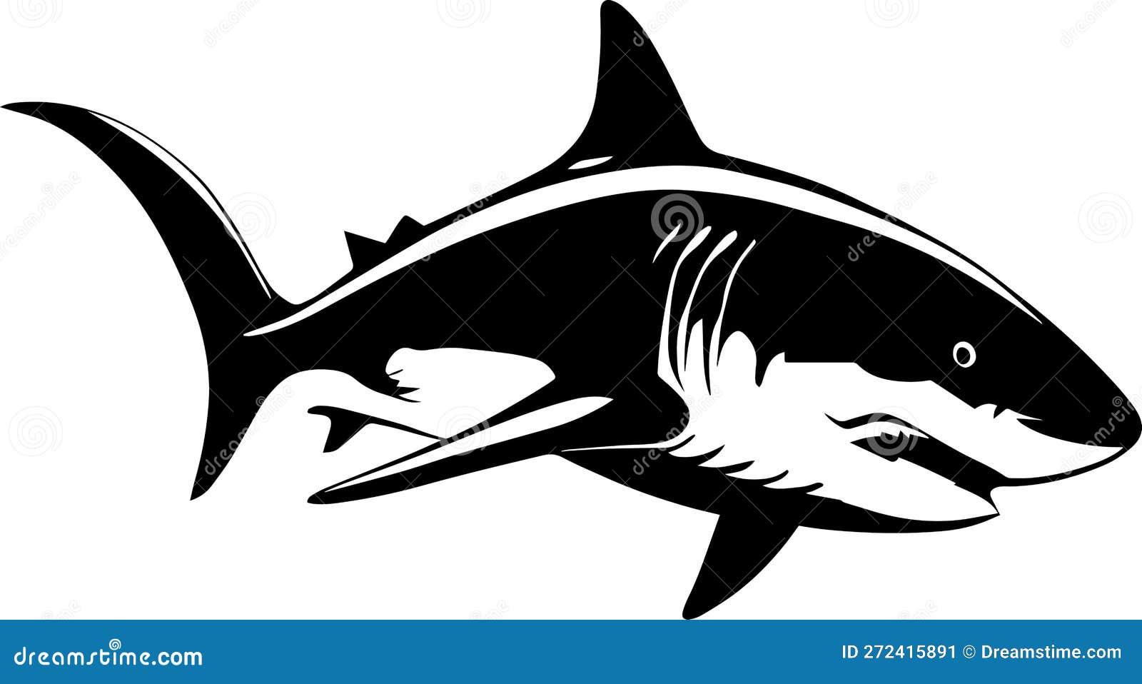 Great White Shark Logo Monochrome Design Stock Vector - Illustration of ...