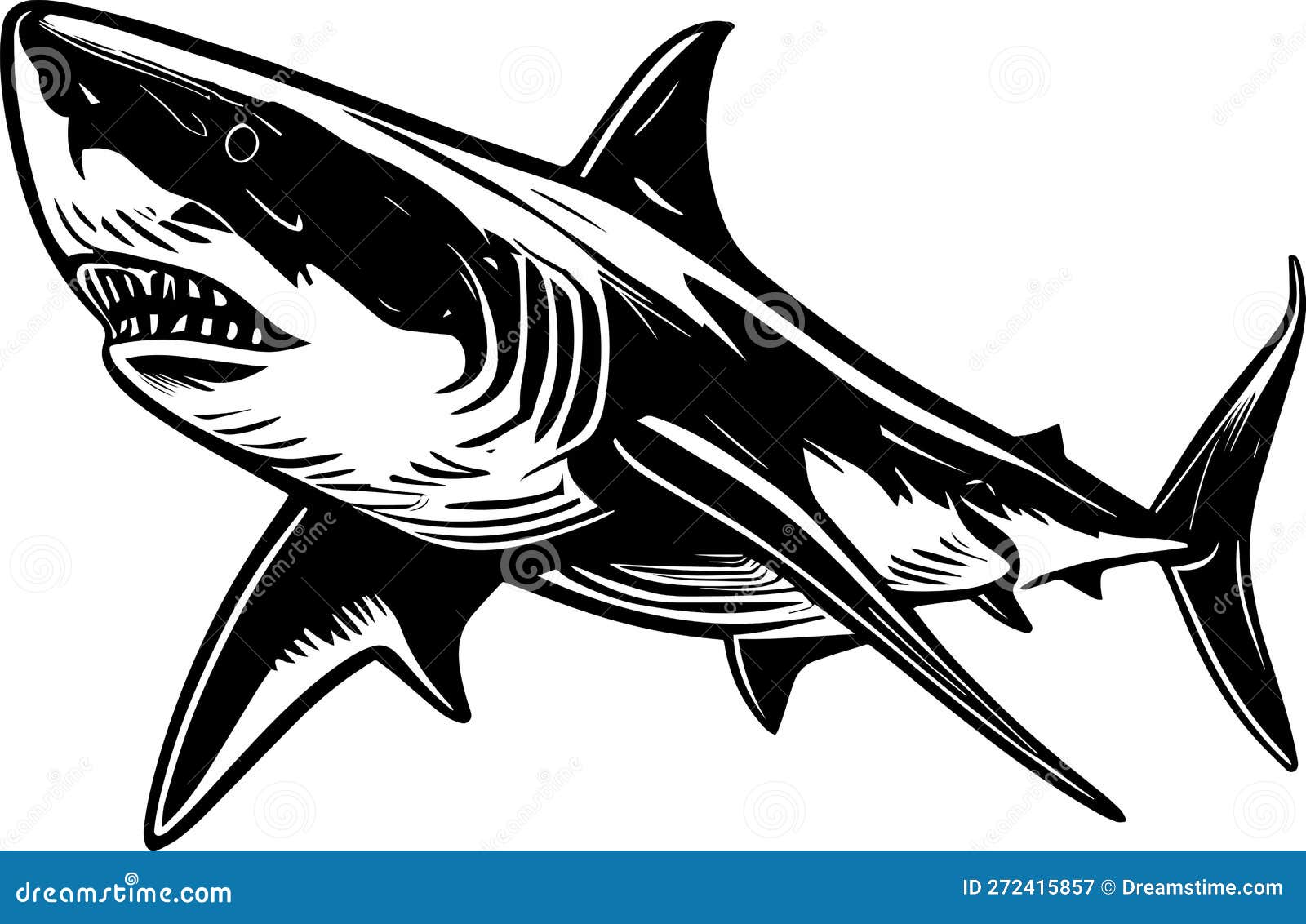 Great White Shark Logo Monochrome Design Stock Vector - Illustration of ...