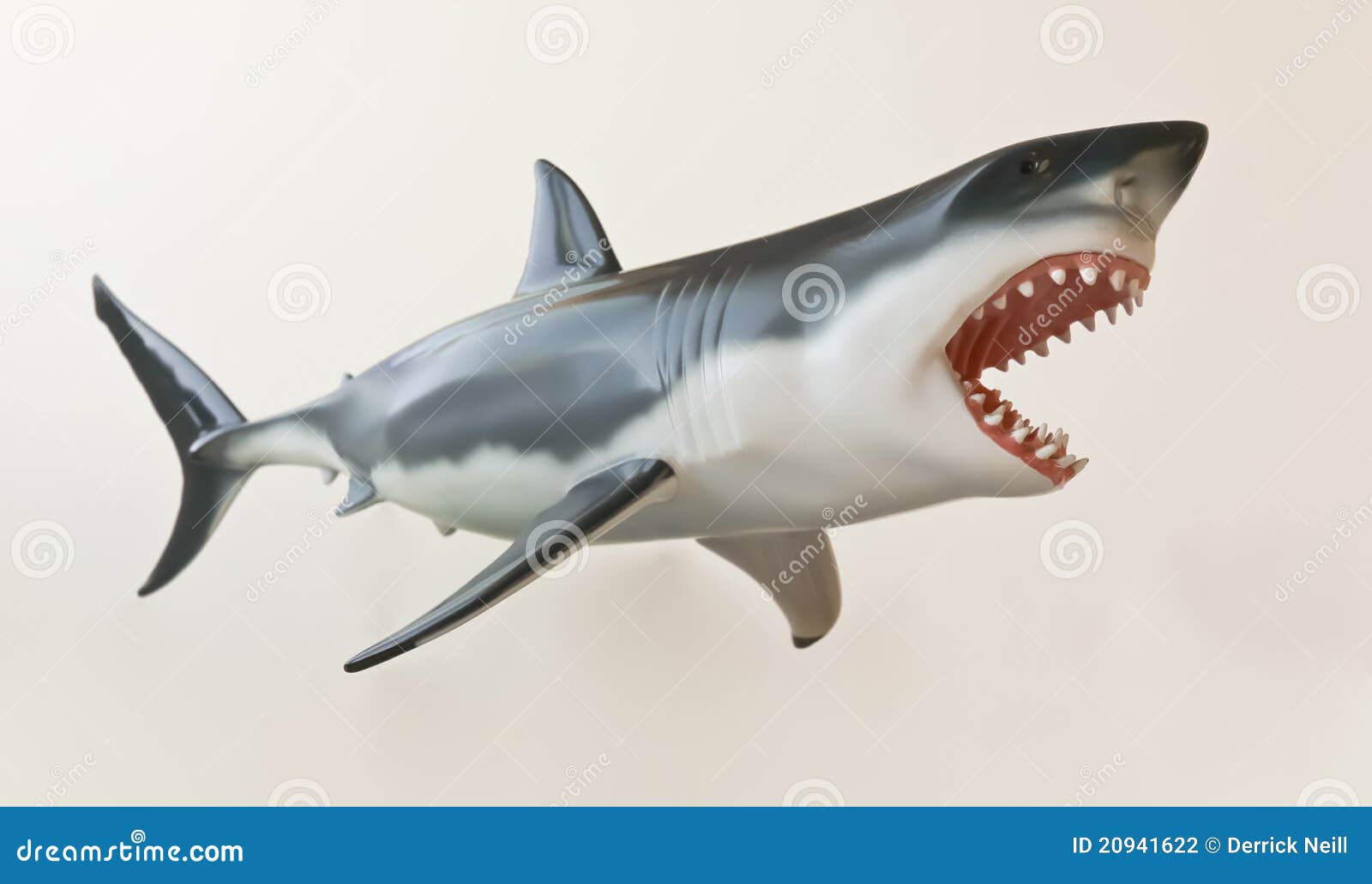 A Great White Shark Model Against White Stock Photo - Image of tails ...