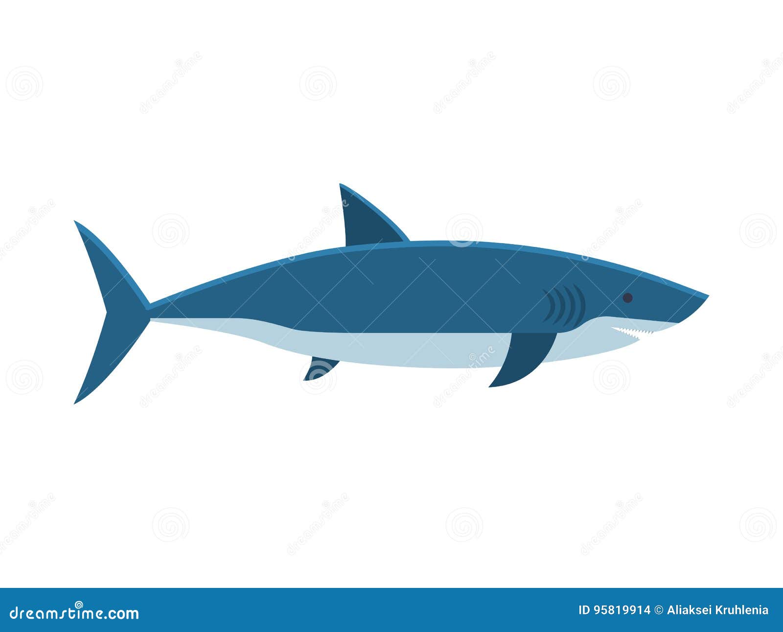 Great White Shark Vector Illustration Stock Vector - Illustration of ...