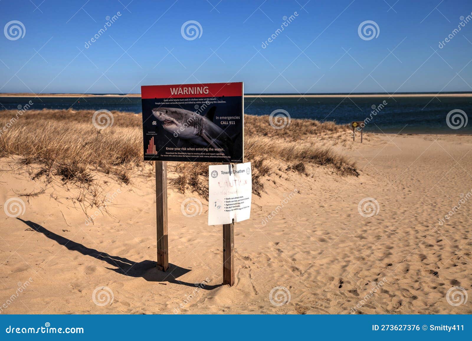 Great White Shark Warning Sight at Chatham Lighthouse Beach Editorial ...