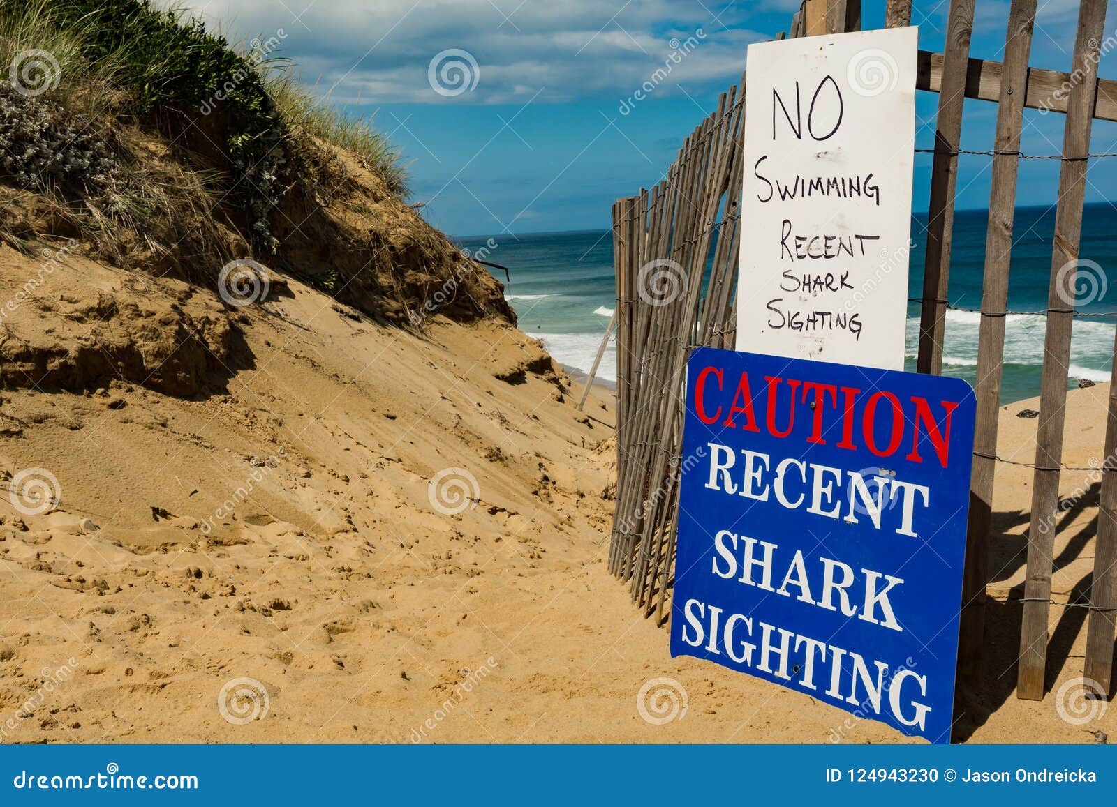 Great White Shark Warning Signs Stock Photo - Image of england, caution ...