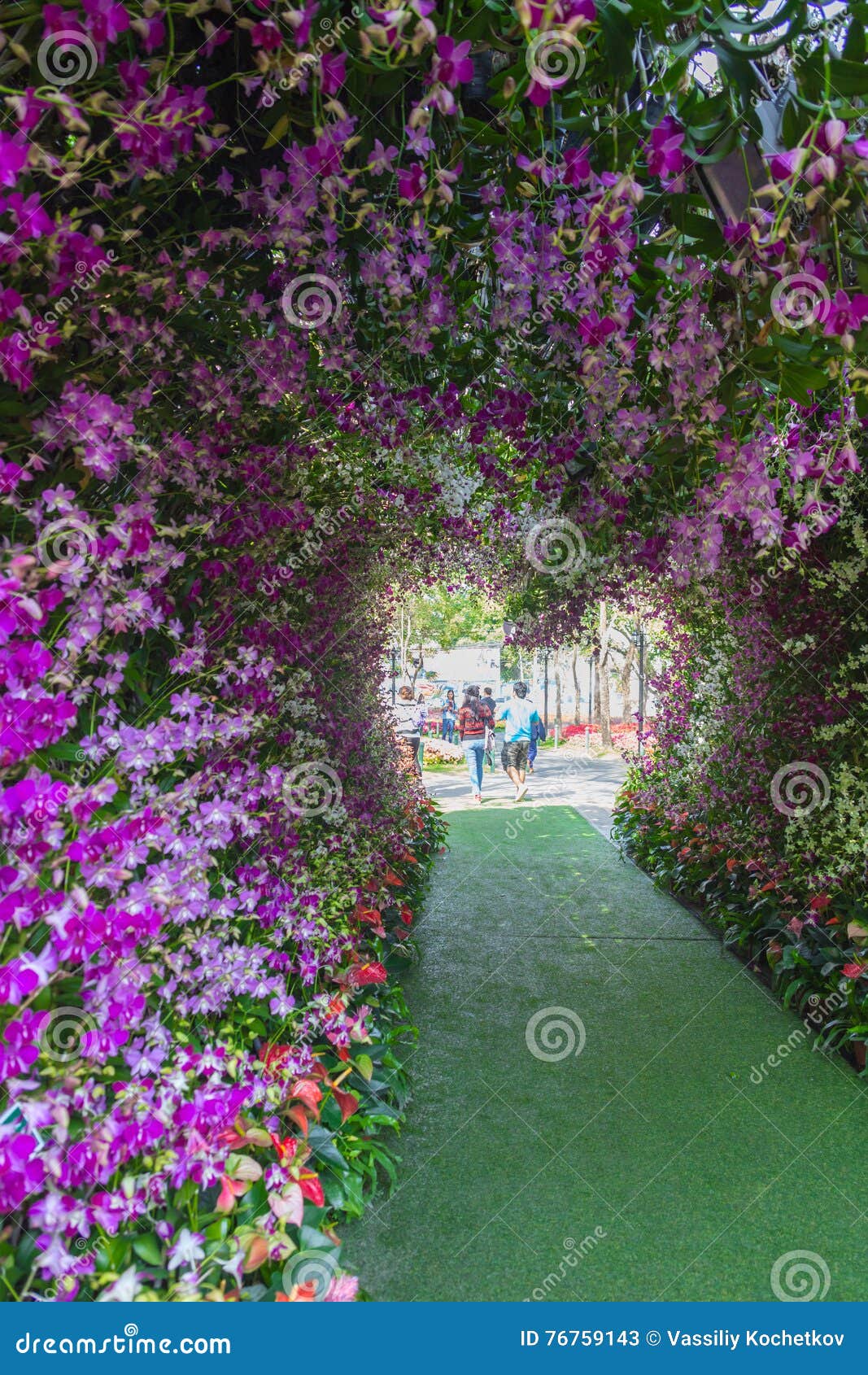 Flower Arch With Flowers, Branches And Green Leaves . Beautiful Wedding ...