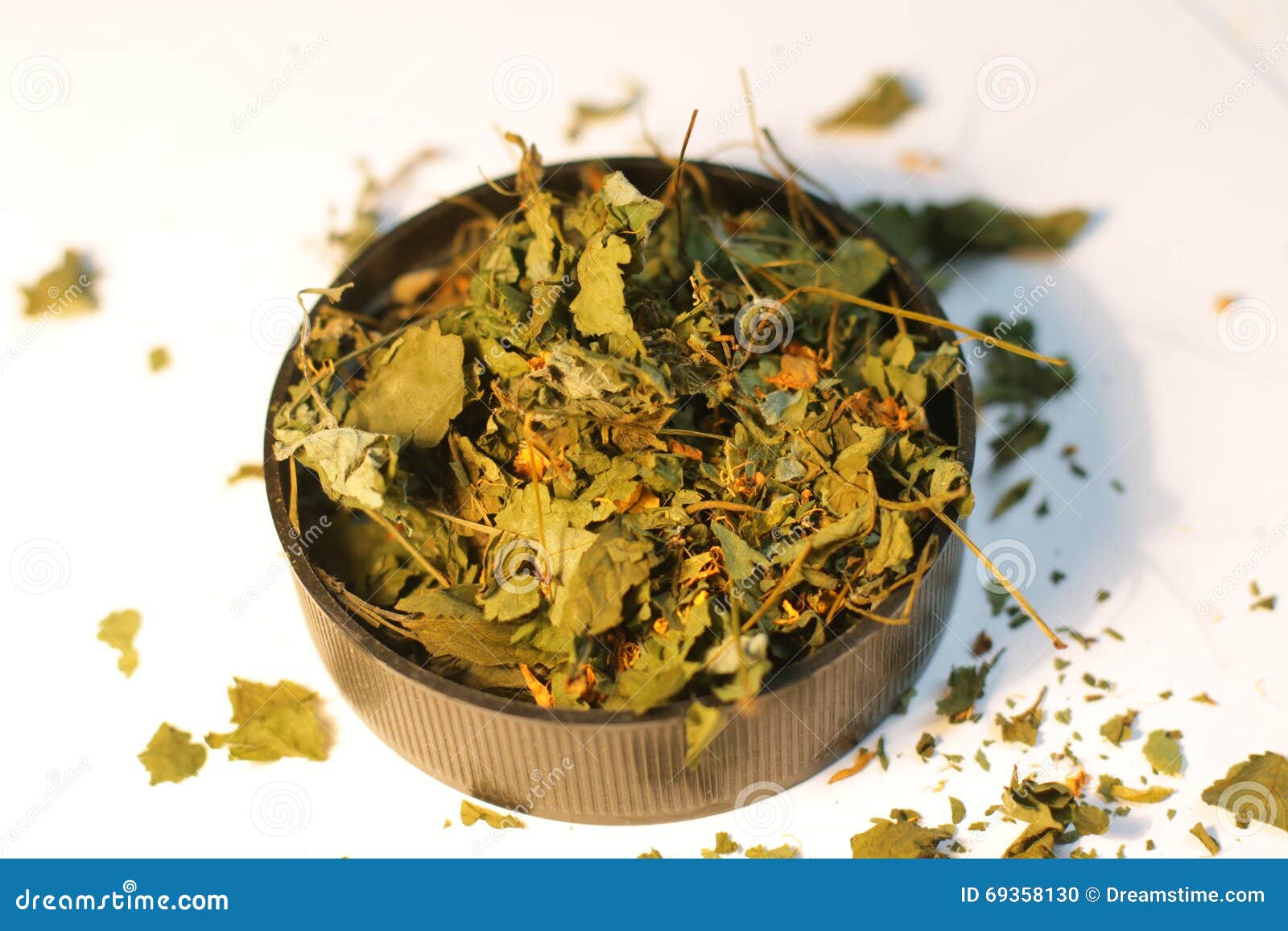 Greater Celandine, Chelidonii Herba Stock Photo - Image of healing ...