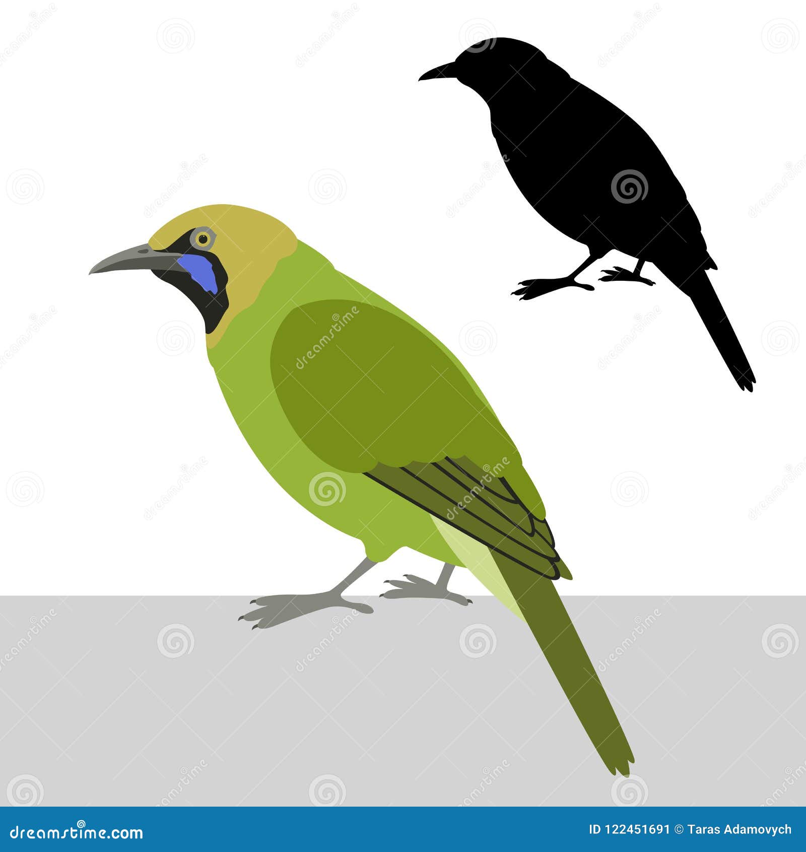 Greater Green Leaf Bird Vector Illustration Flat Style Silhouette Stock ...