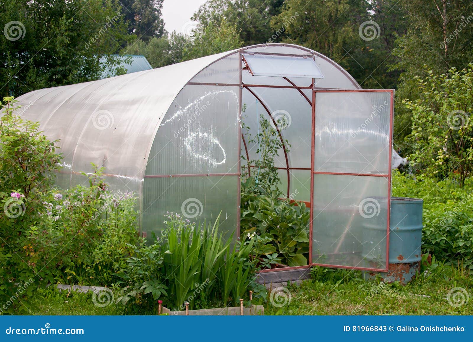 Greater Hothouse for Cultivation of Vegetables Stock Image - Image of ...