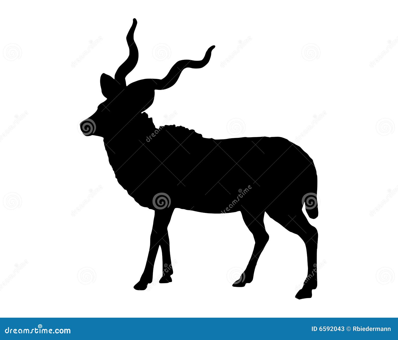 Greater Kudu stock vector. Illustration of object, zoology - 6592043