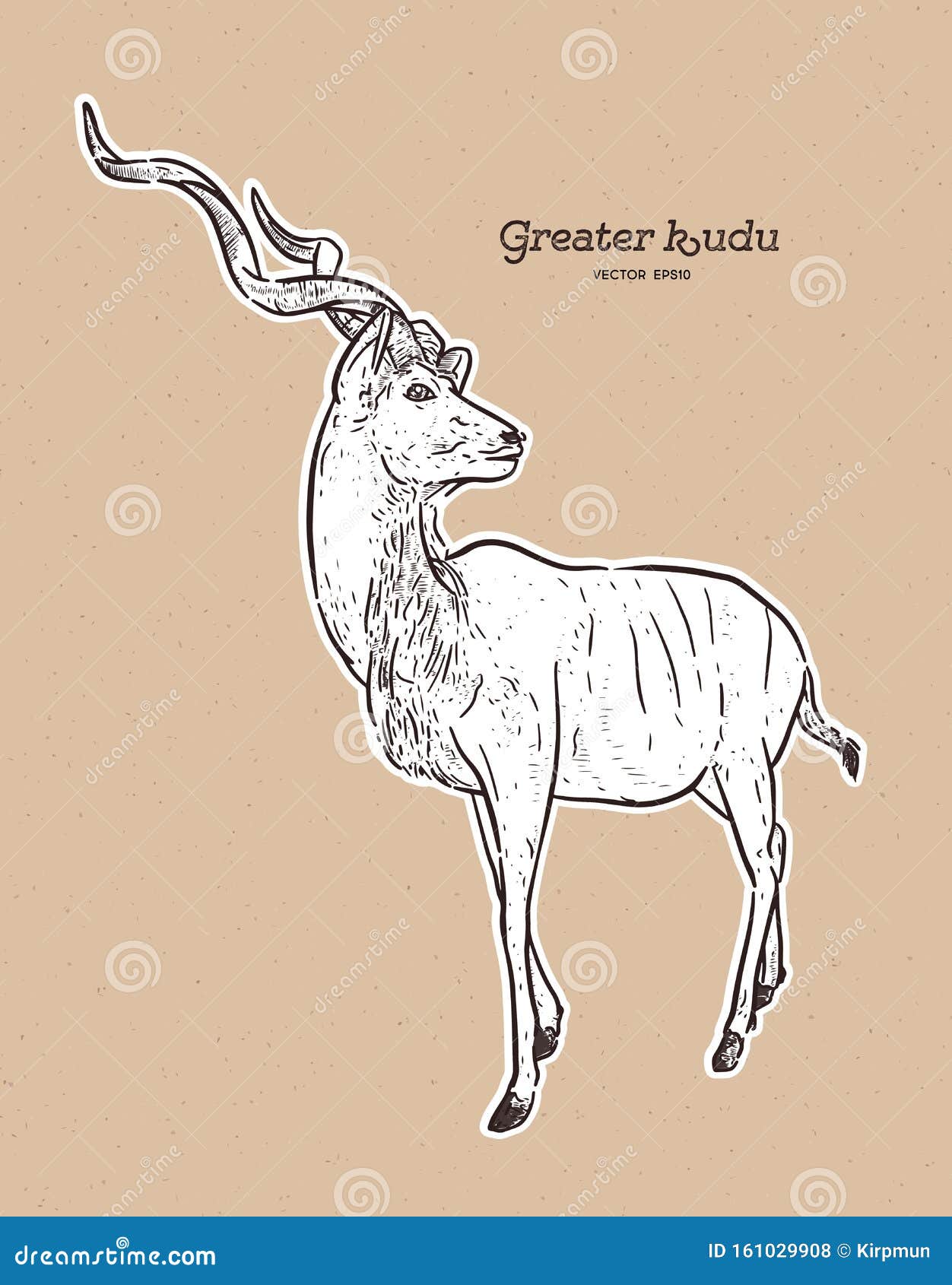 Greater Kudu Antelope, Hand Drawn Vector Illustration Stock Vector ...
