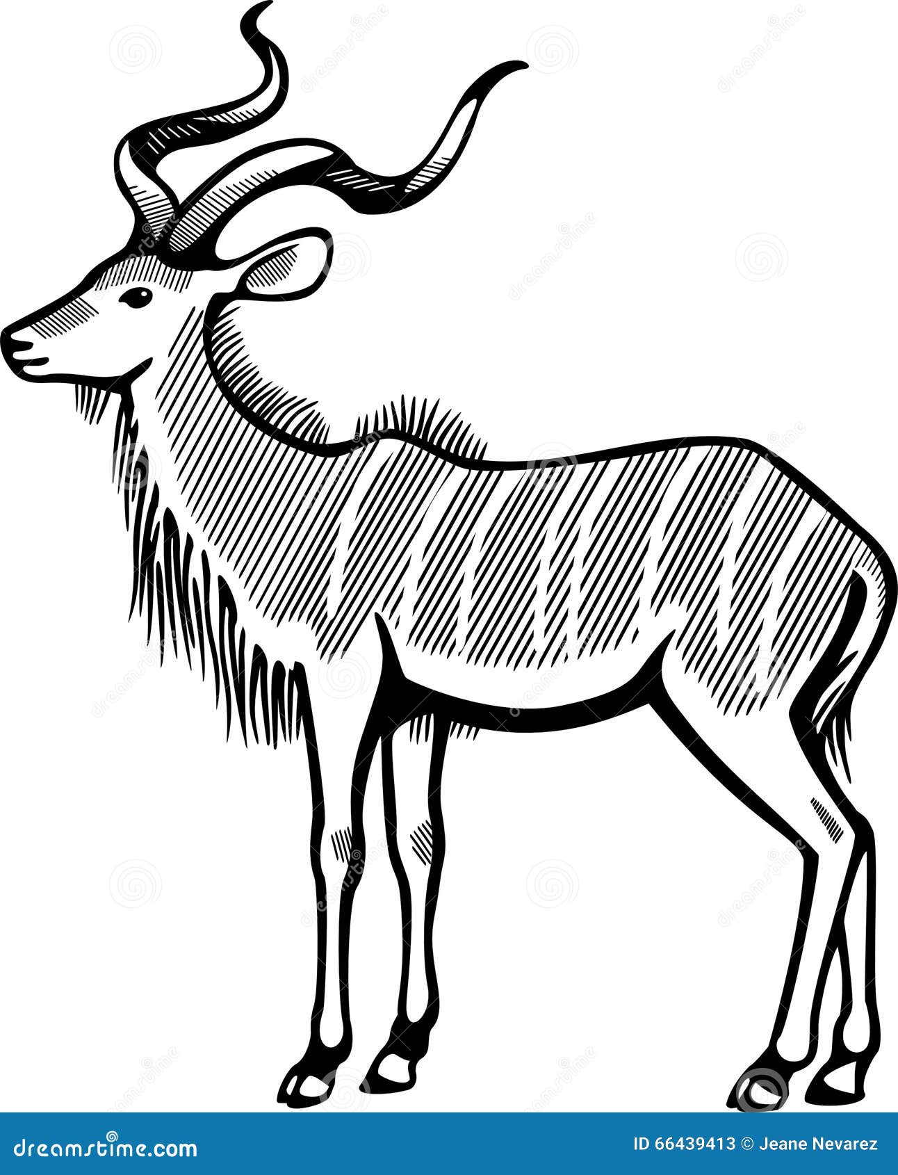 Kudu Drawing To Be Colored Royalty-Free Stock Image | CartoonDealer.com ...