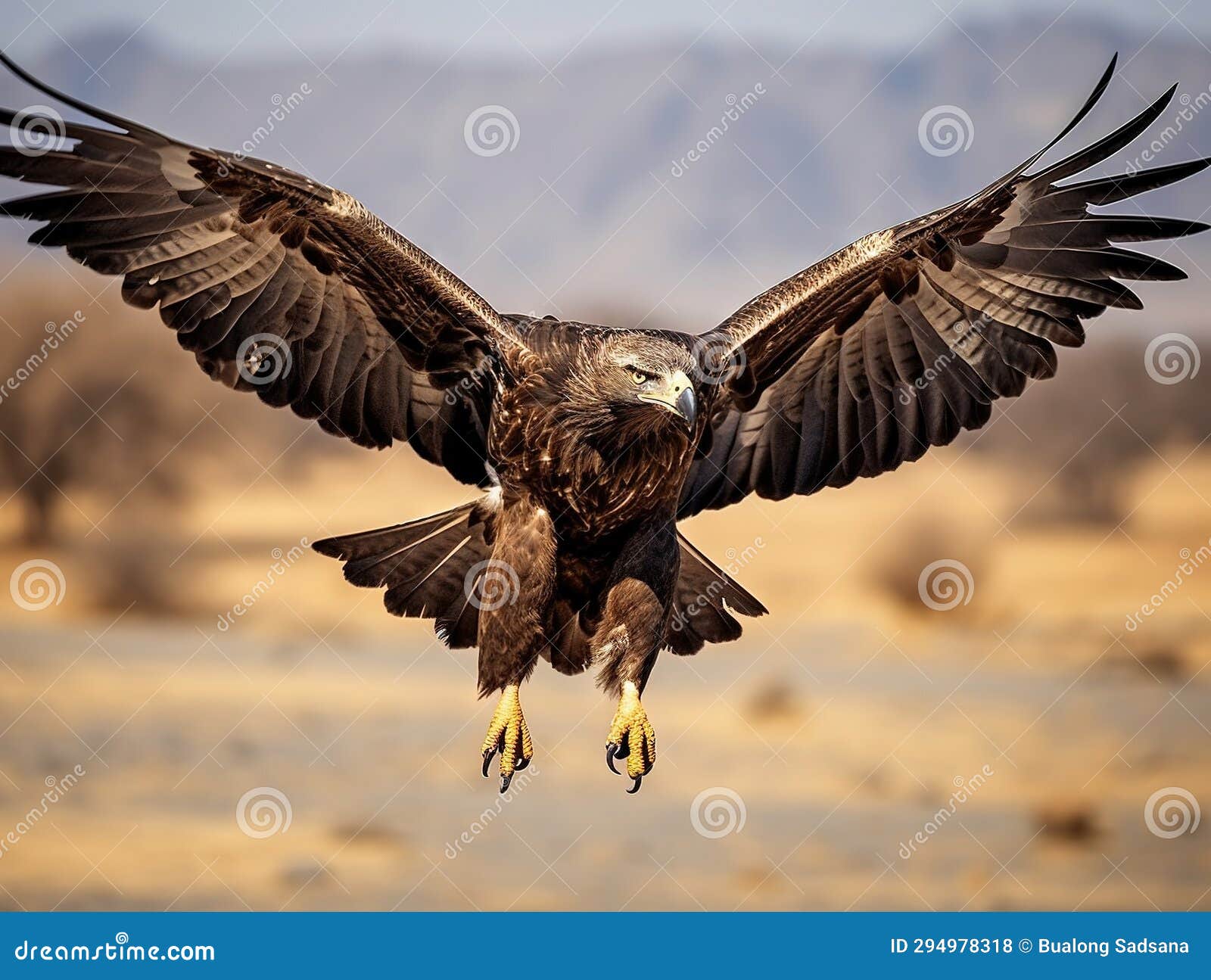 The Greater Spotted Eagle stock illustration. Illustration of ...