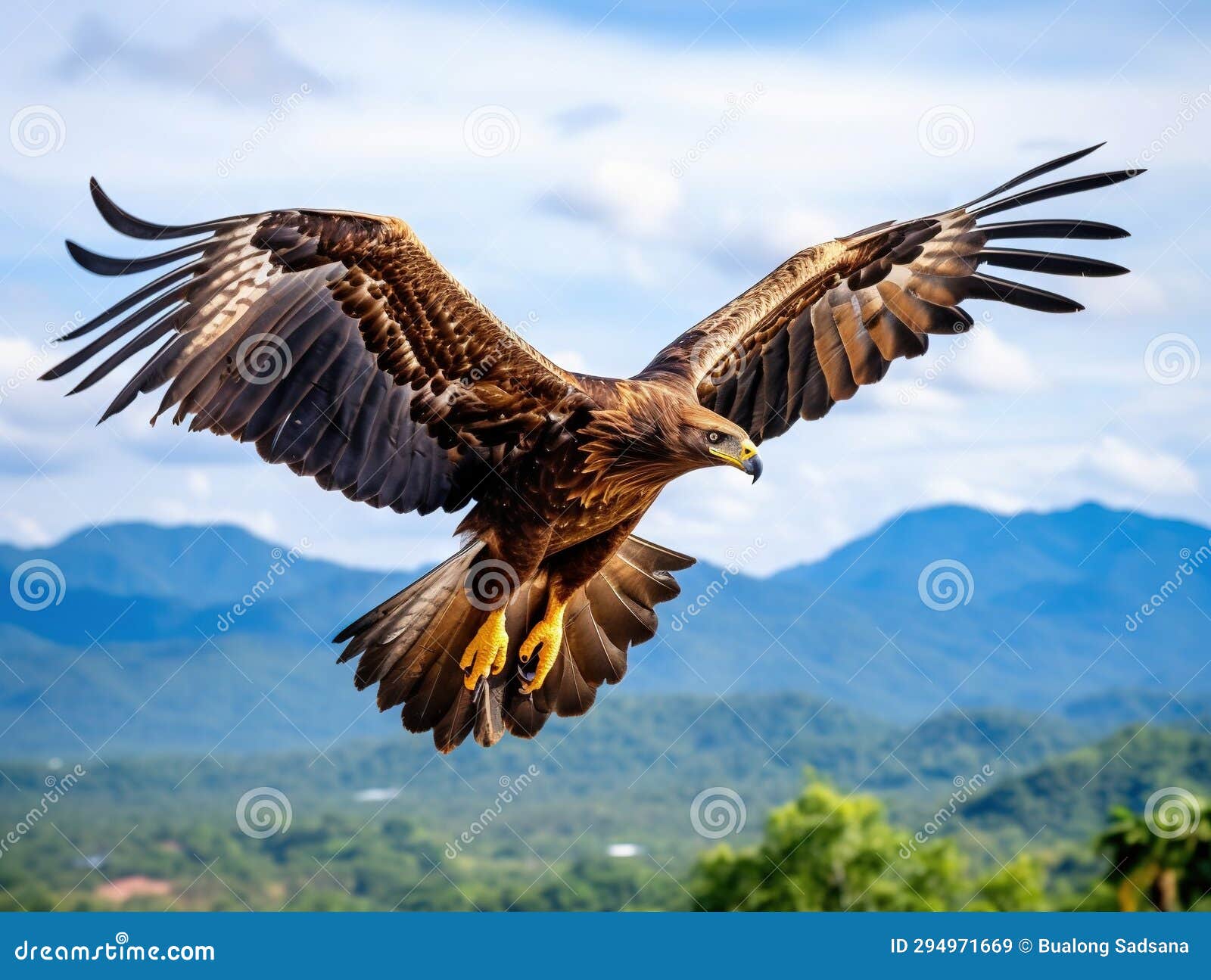 Greater Spotted Eagle (Aquila Clanga) Made With Generative AI ...