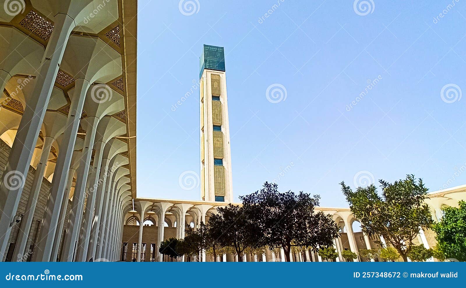The Greatest Mosque in Algeria Editorial Photography - Image of travel ...