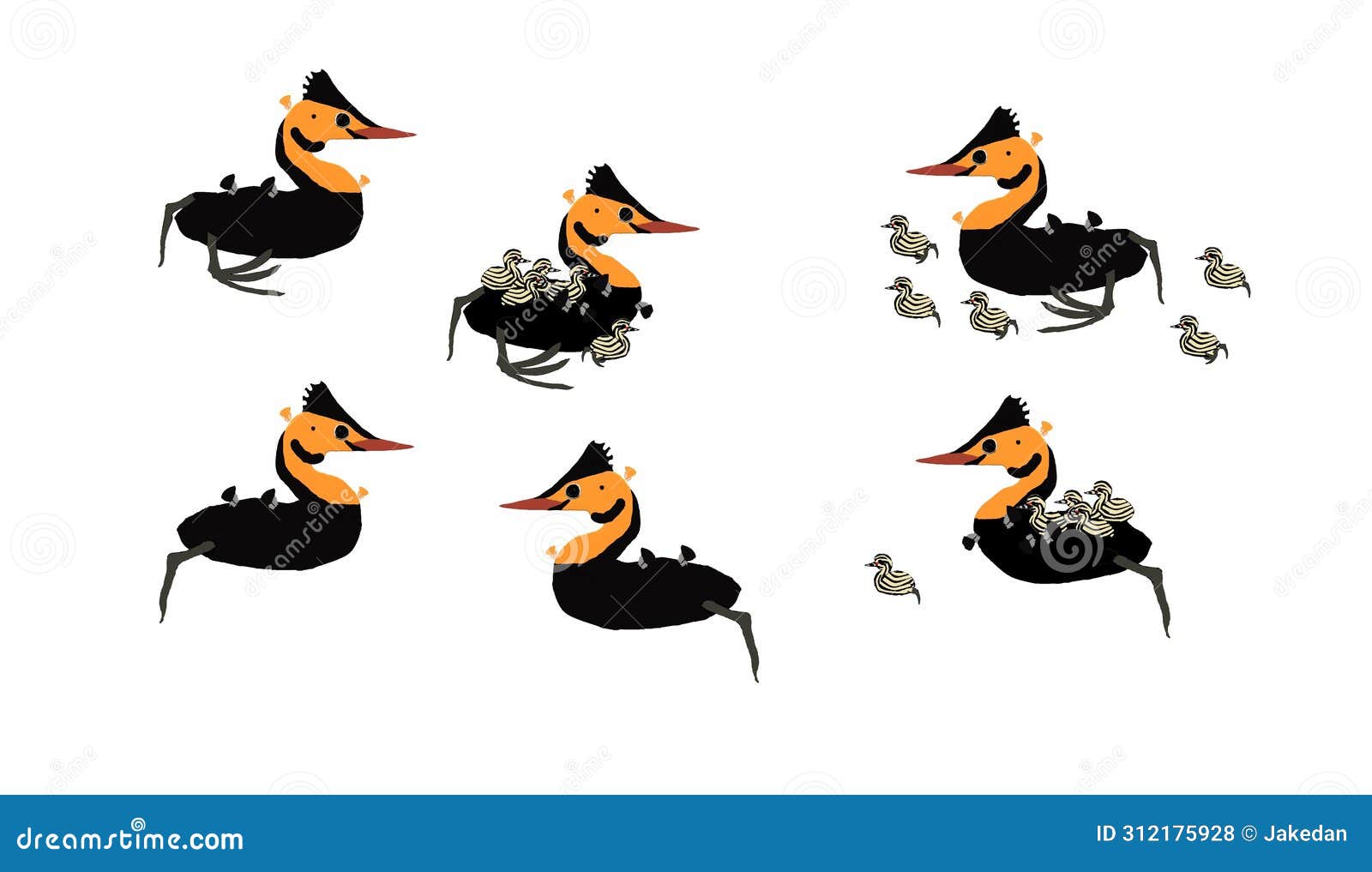 Grebe Family, Colouring Book Page Uncolored Stock Photo | CartoonDealer ...