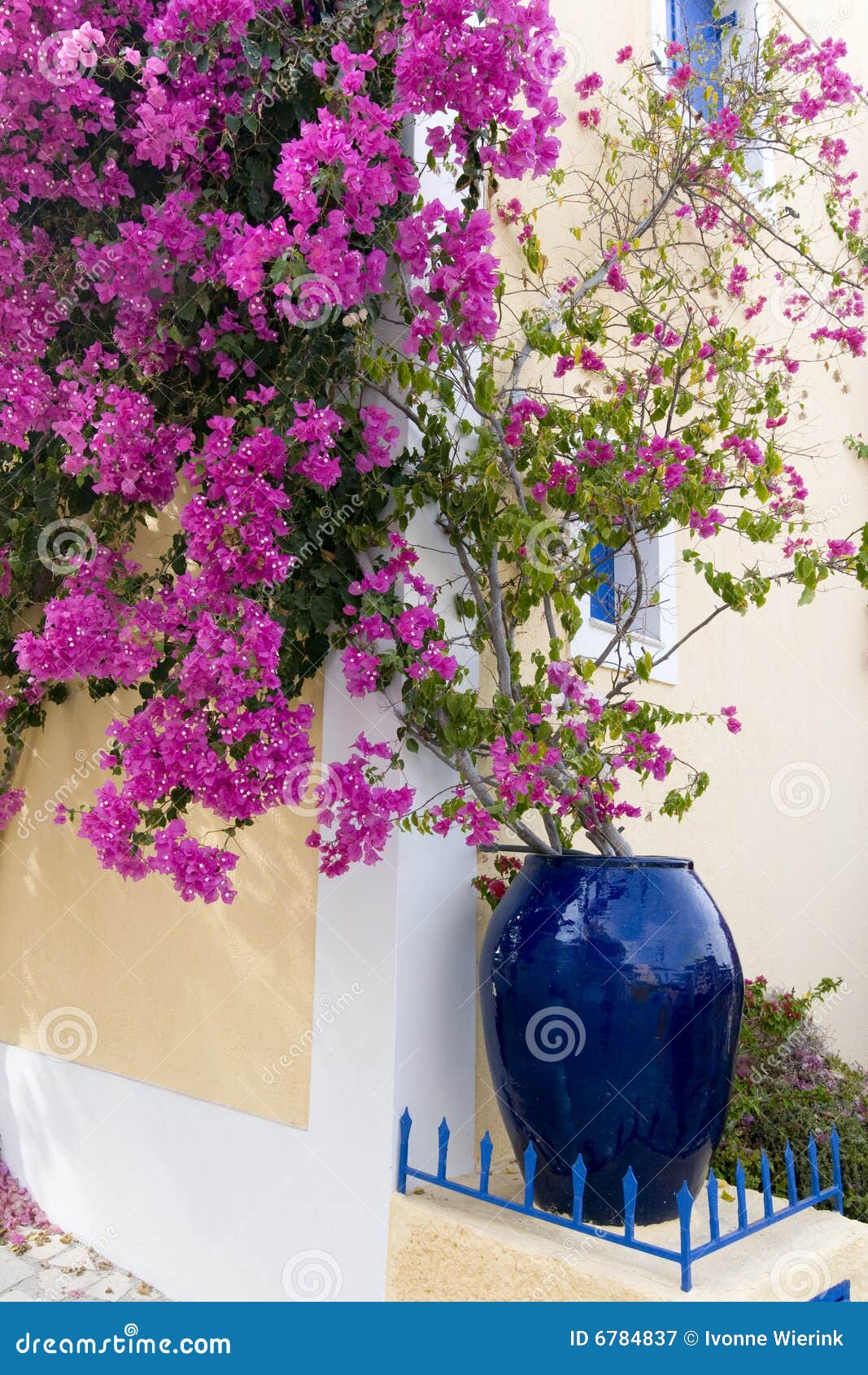 Greece stock image. Image of pastel, violet, flowers, greece - 6784837