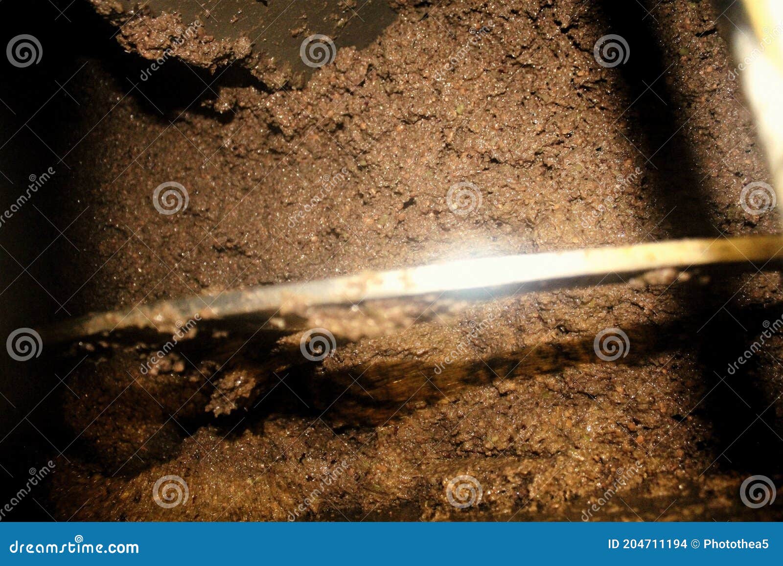 Olive Paste in Malaxation Tank during Extra Virgin Olive Oil Extraction ...