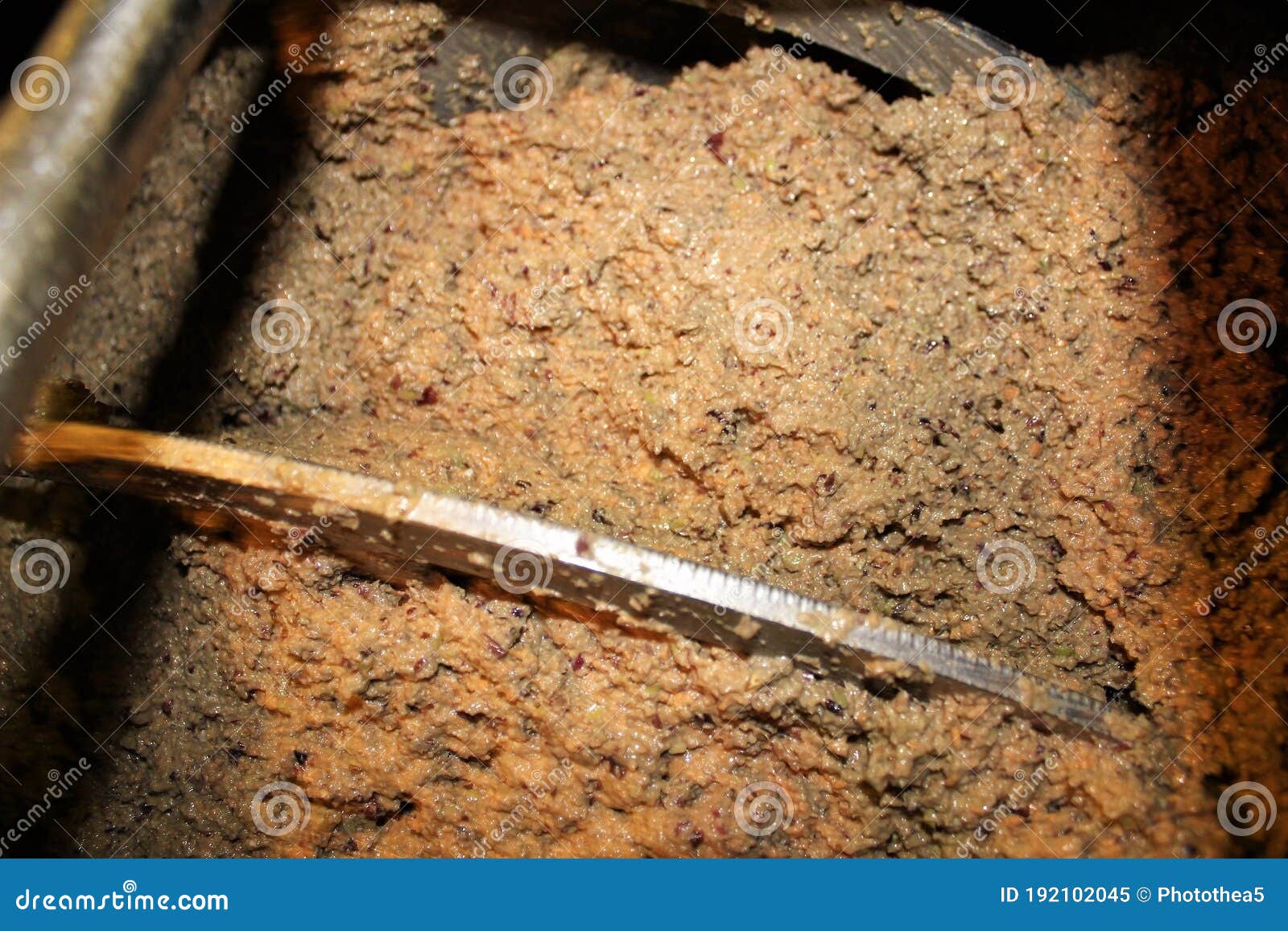 Olive Paste in Malaxation Tank during Extra Virgin Olive Oil Extraction ...